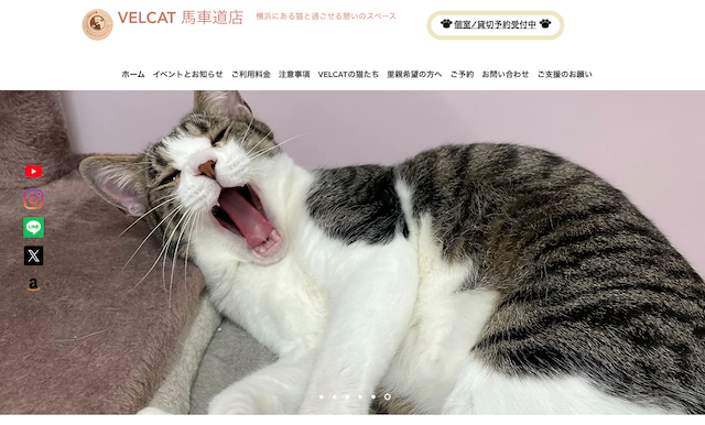 神奈川県内のおすすめ猫カフェ5選！【犬猫好き必見記事特集】｜ペットケアネット(PETCARE NET)